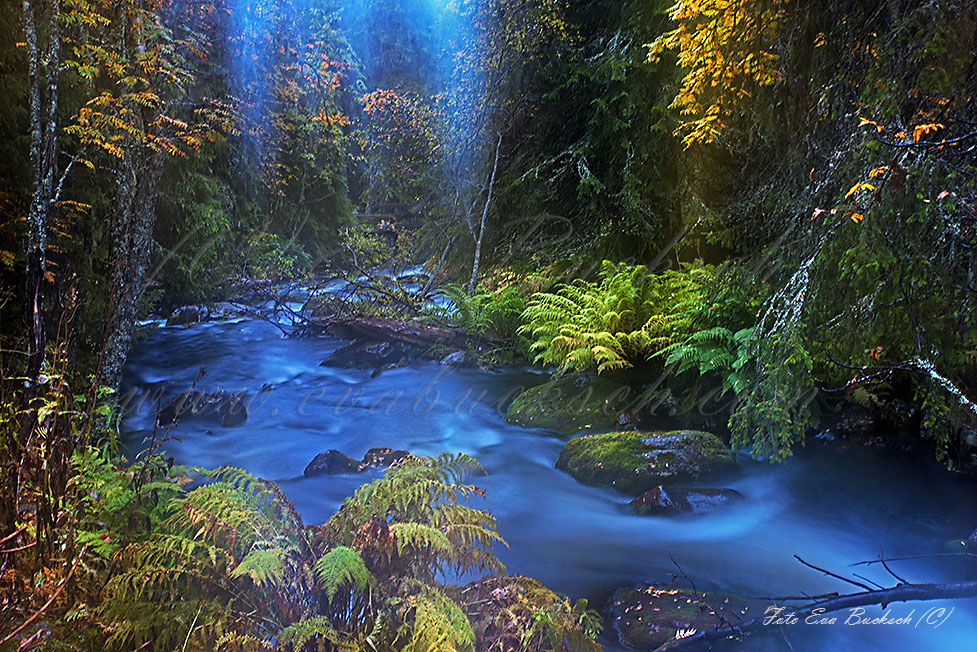 Fotograf Eva Bucksch