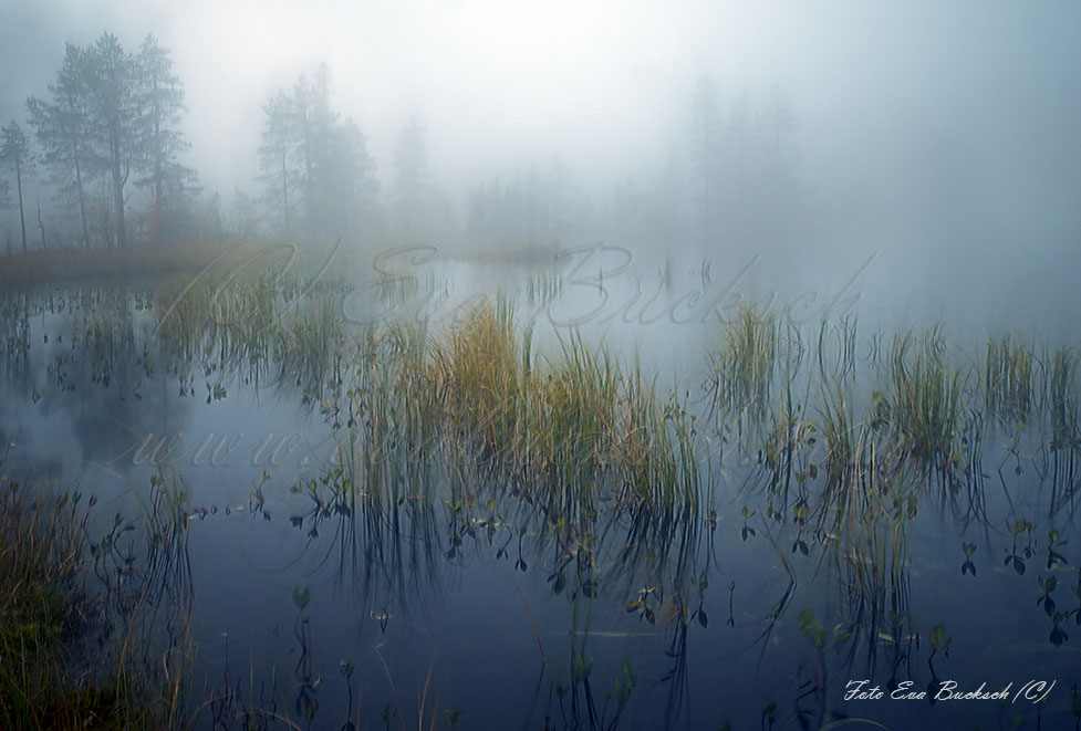 Fotograf Eva Bucksch