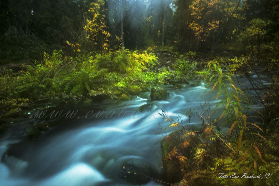 Fotograf Eva Bucksch