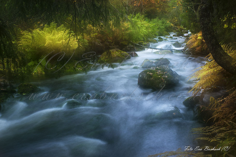 Fotograf Eva Bucksch
